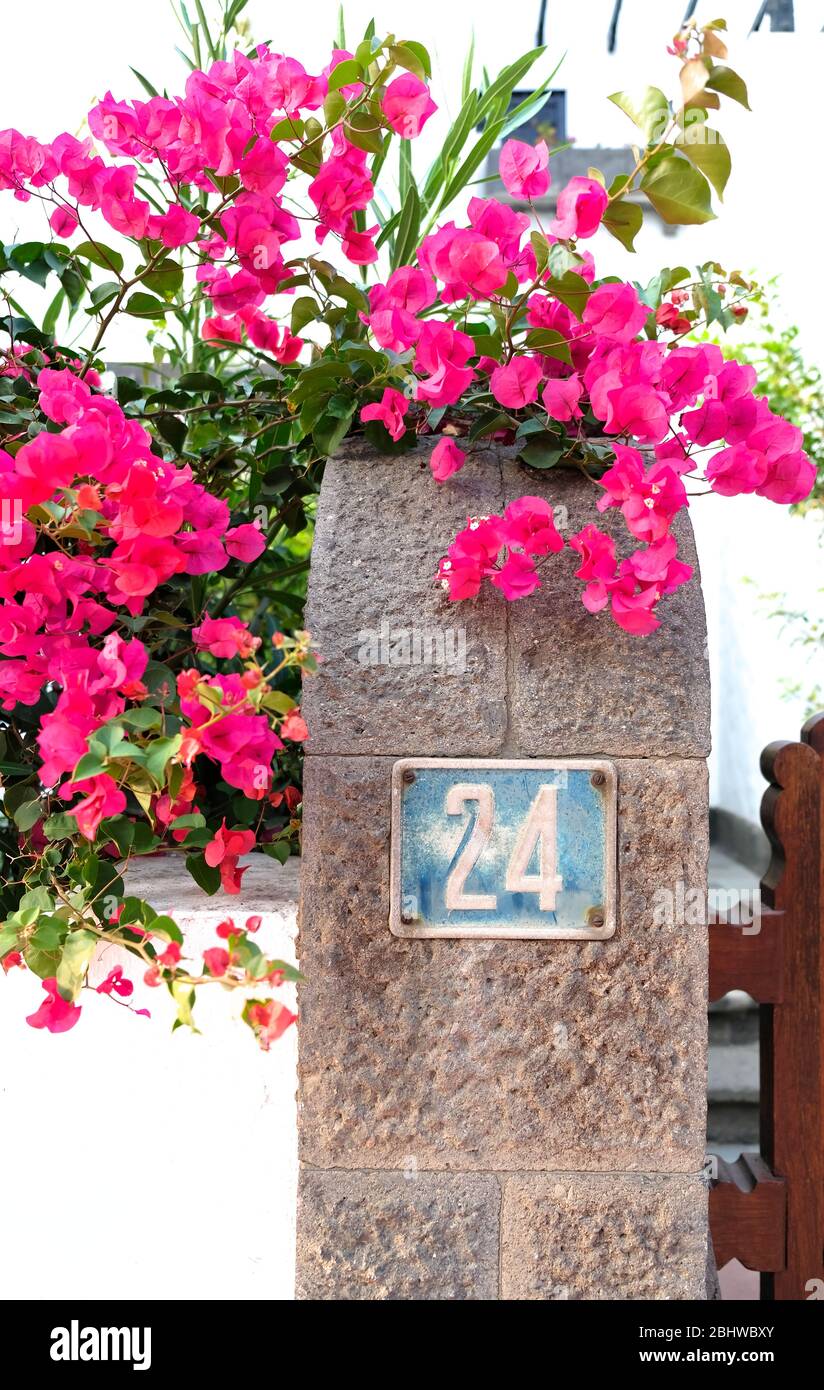 Numeral 24 twenty four isolated hi-res stock photography and images - Alamy