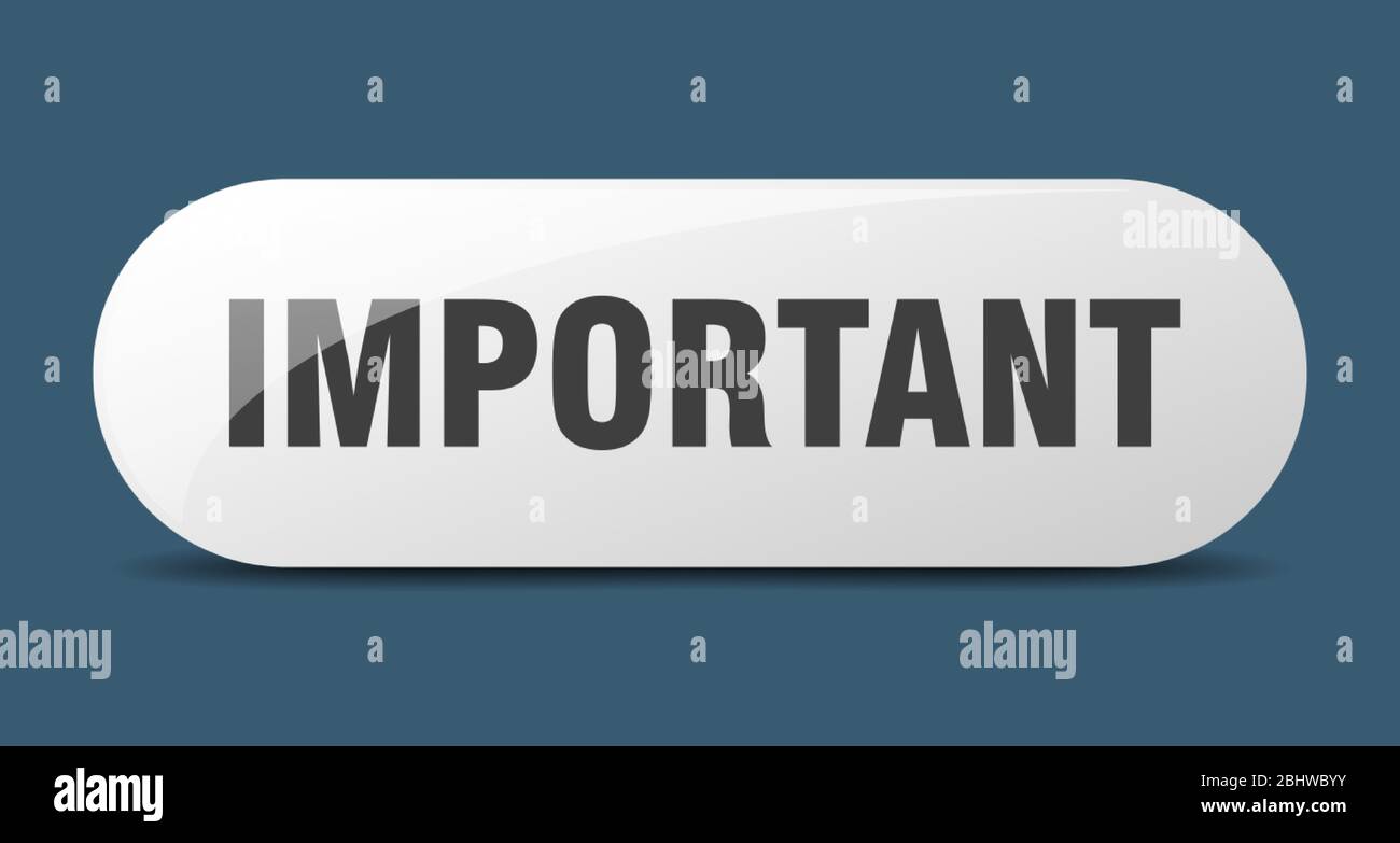 important button. important sign. key. push button Stock Vector Image ...