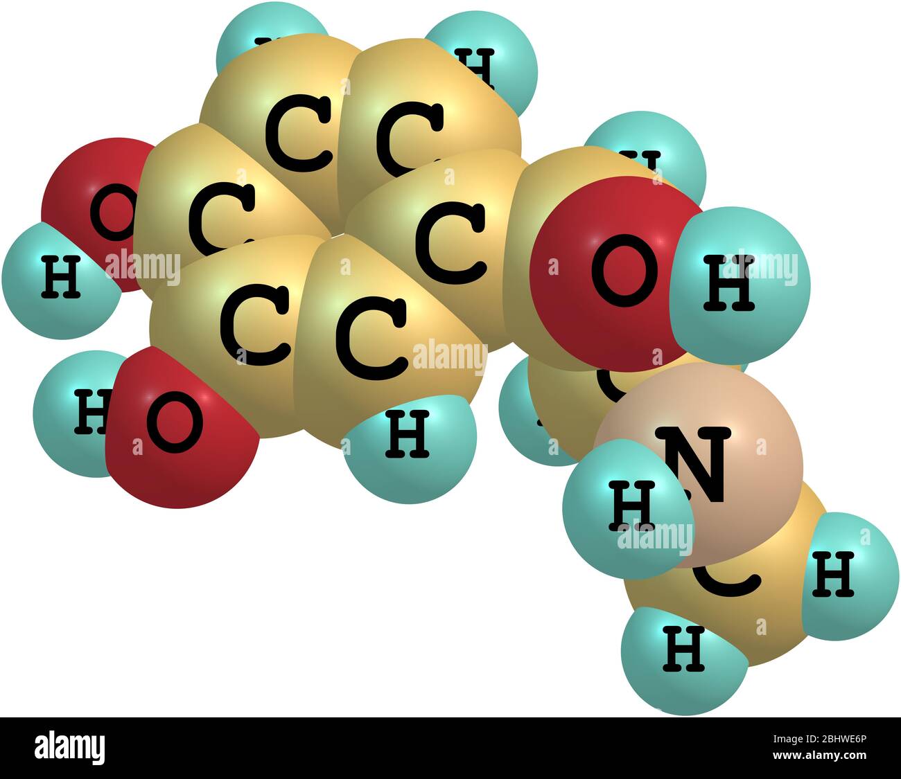 Adrenaline model molecule on white Stock Photo - Alamy