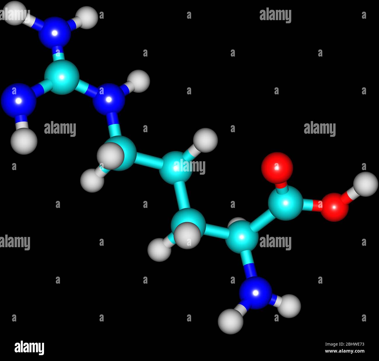 A model of an amino acid arginine. Arginine has an important function ...