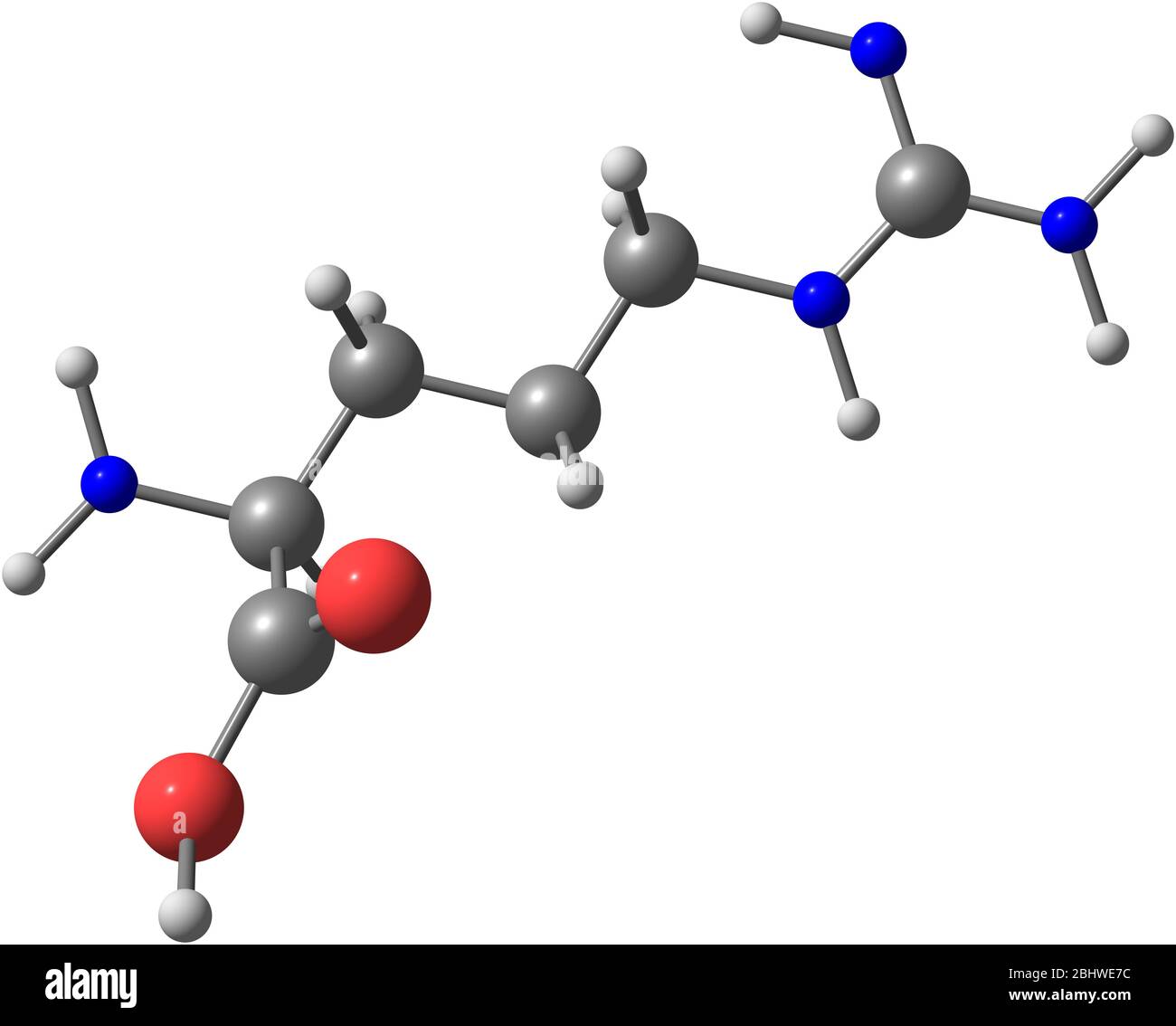 A model of an amino acid arginine. Arginine has an important function ...