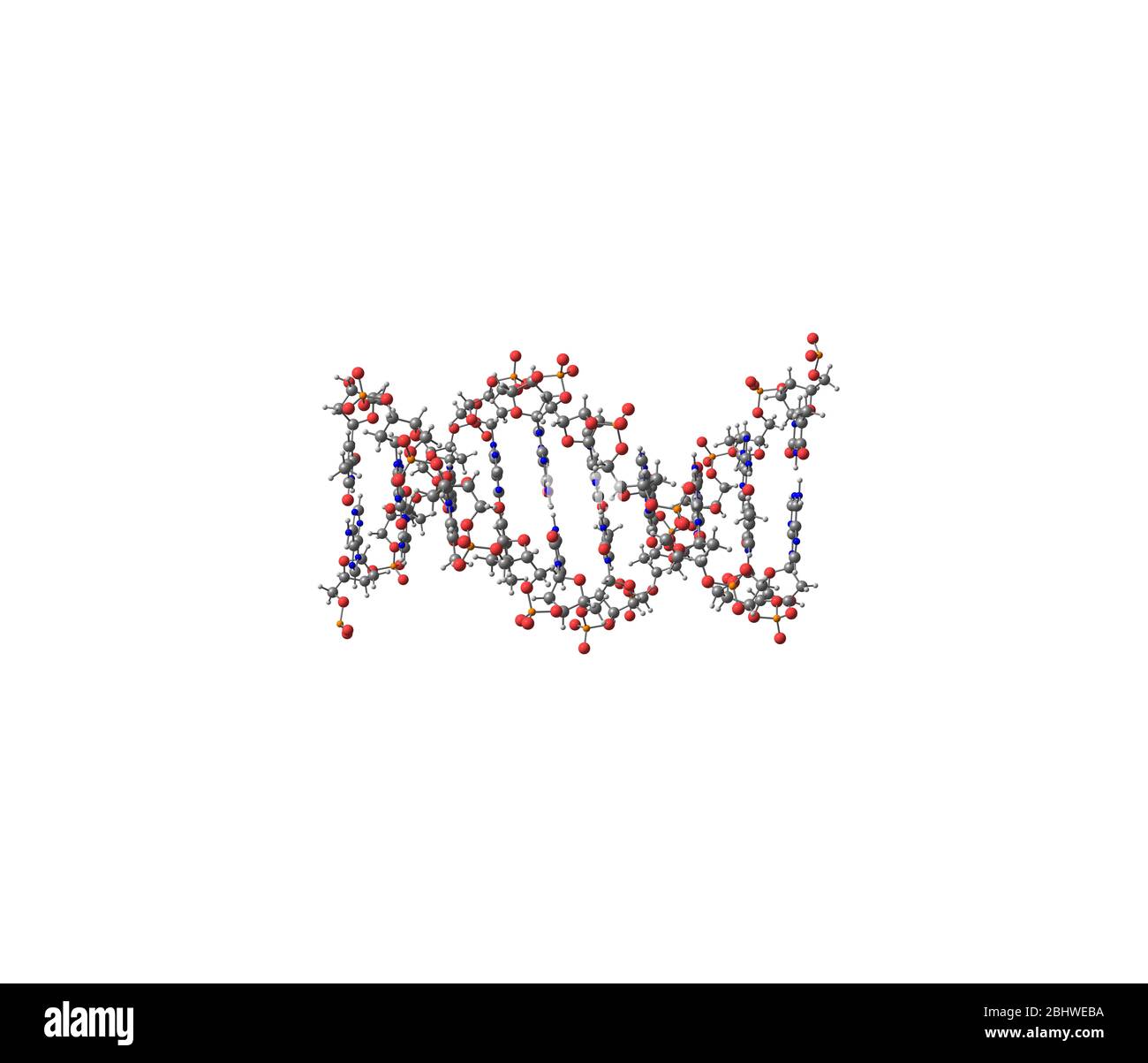 Single molecule rna hi-res stock photography and images - Alamy