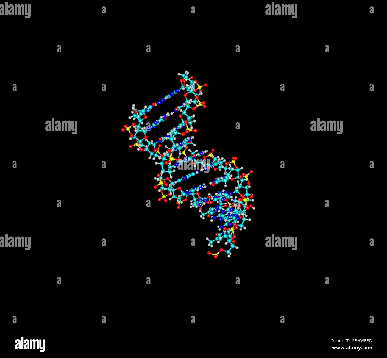 Single molecule rna hi-res stock photography and images - Alamy