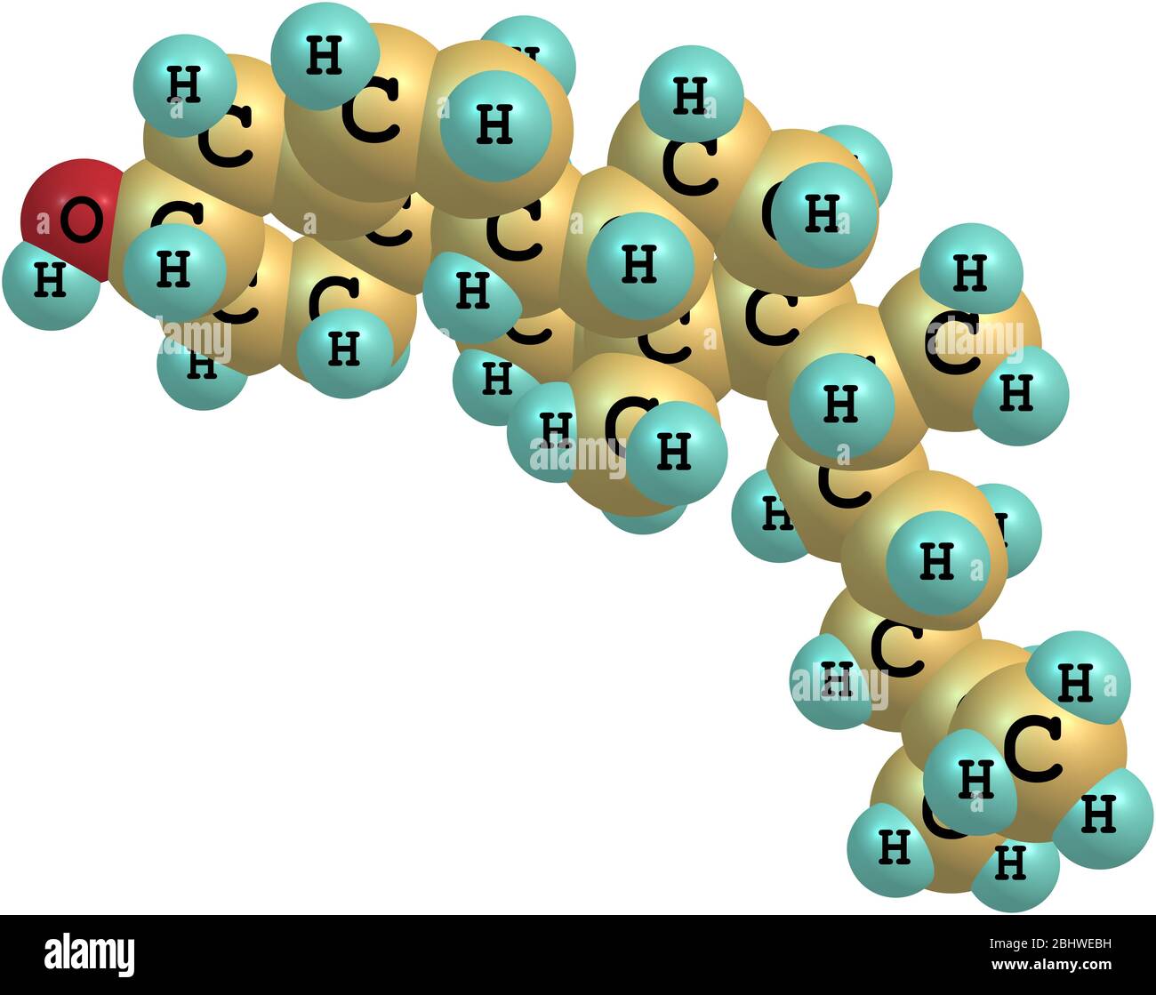 A model of a molecule of cholesterol, a steroid which is essential for ...