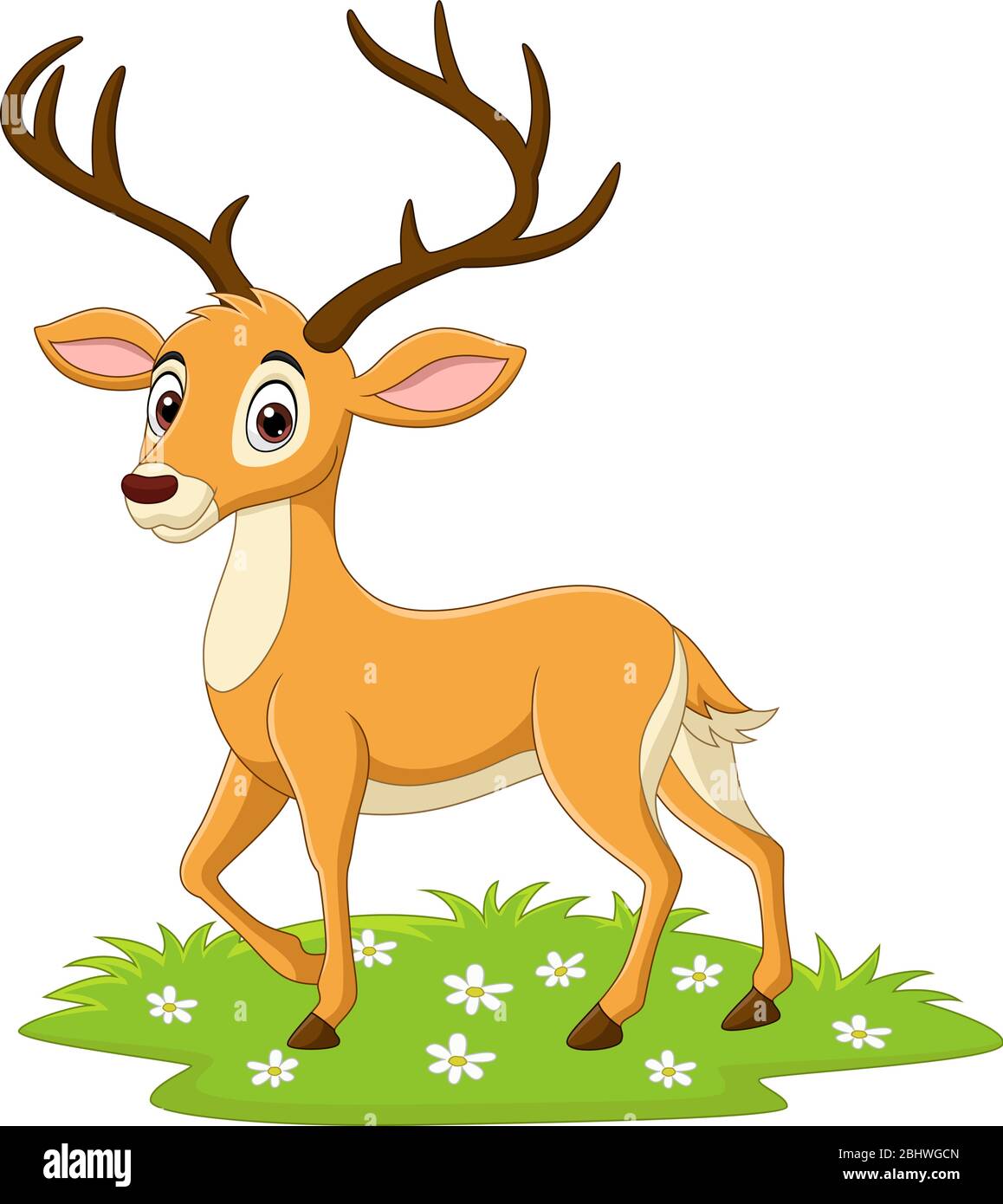 Cartoon deer in the grass Stock Vector Image & Art - Alamy