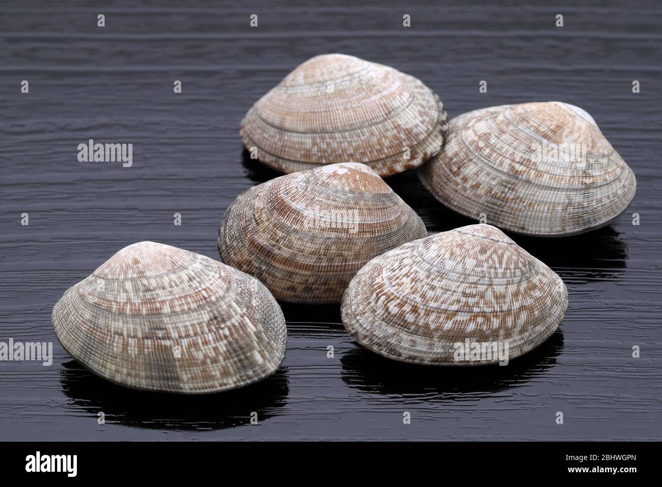 Black clams hi-res stock photography and images - Alamy