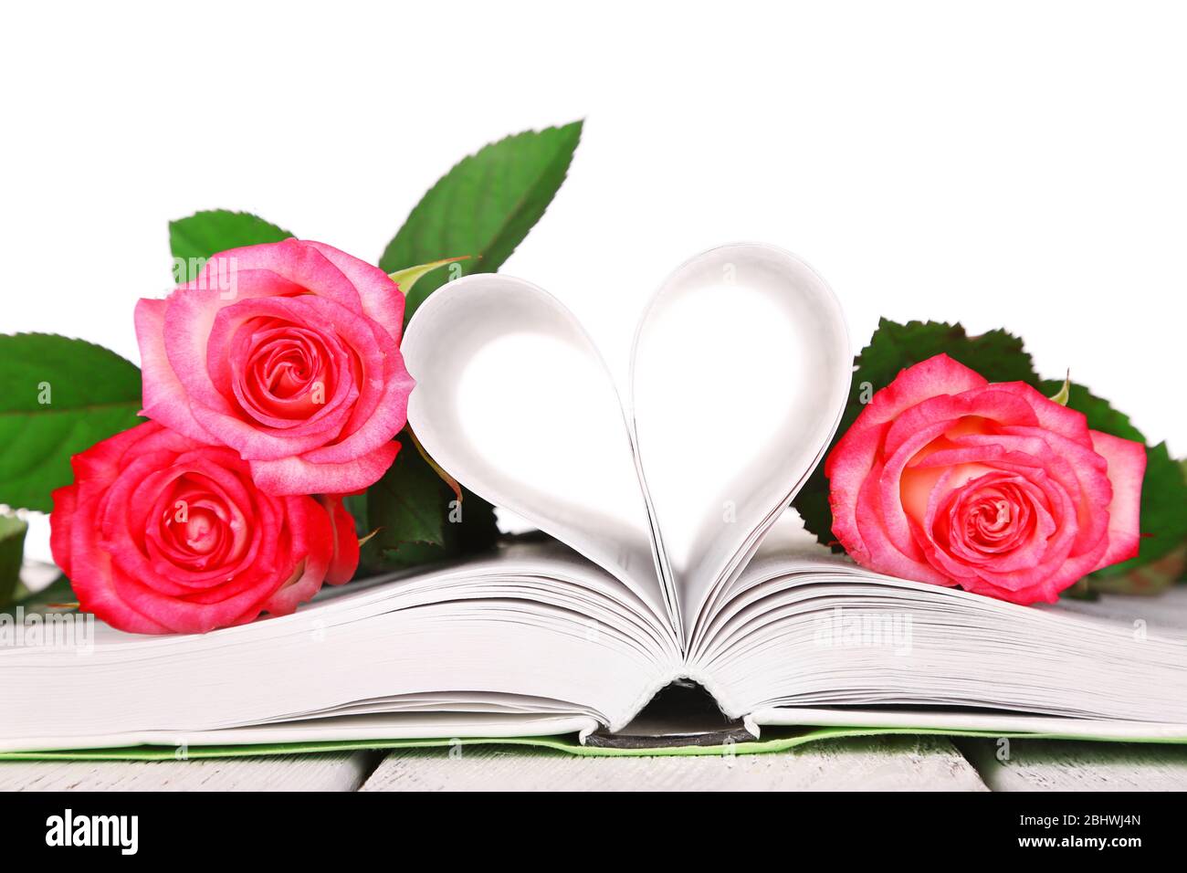 Open book with beautiful roses isolated on white Stock Photo - Alamy