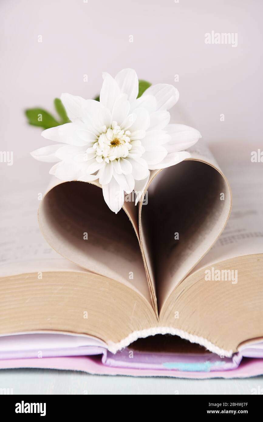 Open book with shape of heart from pages and flower on light background ...