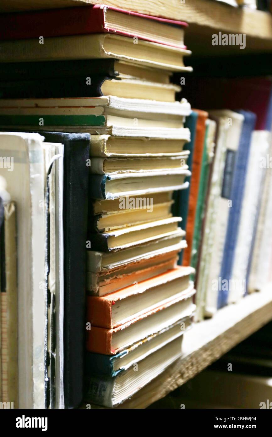 Many books on bookshelf in library Stock Photo - Alamy