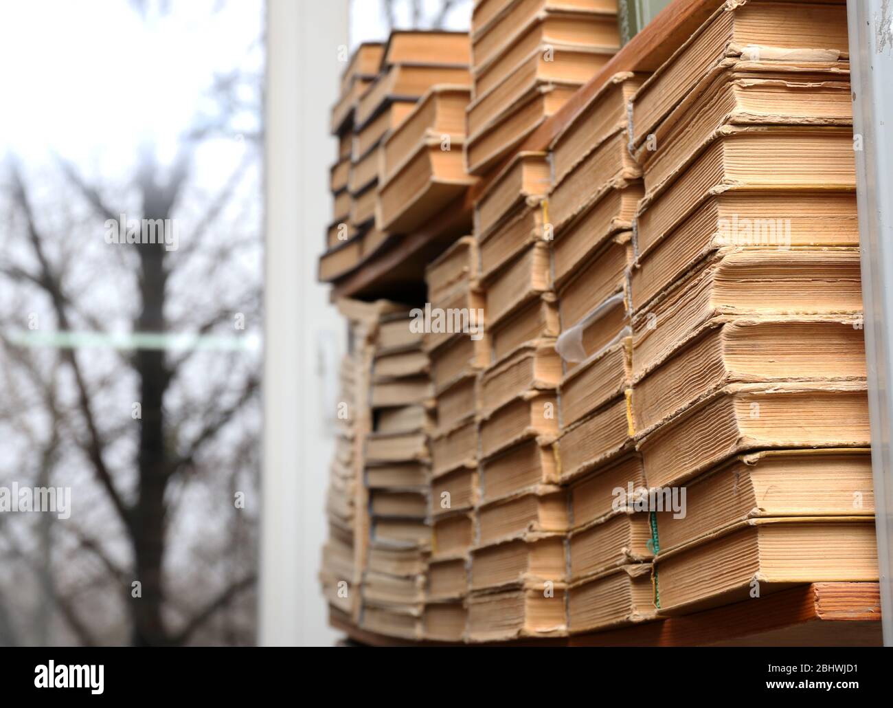 Many books on bookshelf in library Stock Photo - Alamy