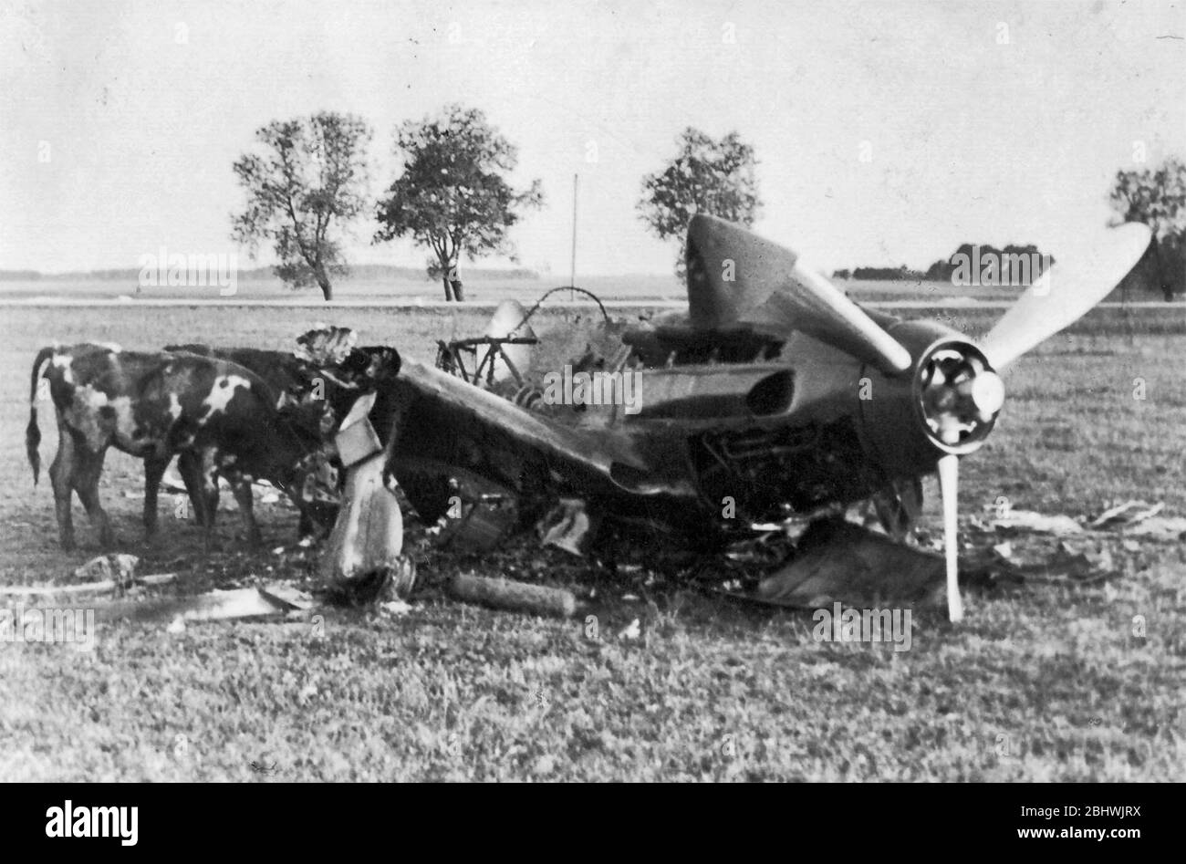 Old Airplane Parametry Mig 3