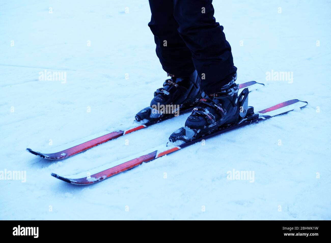 Human legs with skis over white snow background Stock Photo - Alamy