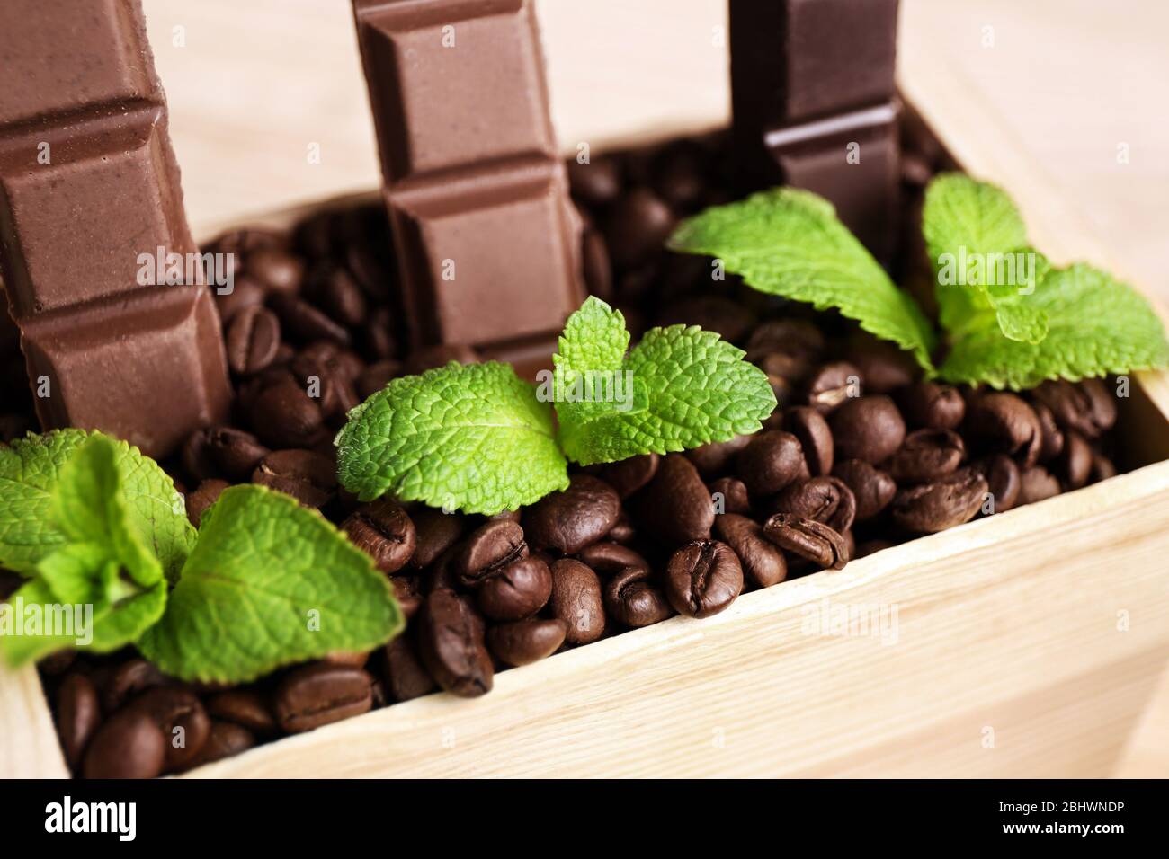 Still life with set of chocolate in wooden box of coffee grains ...