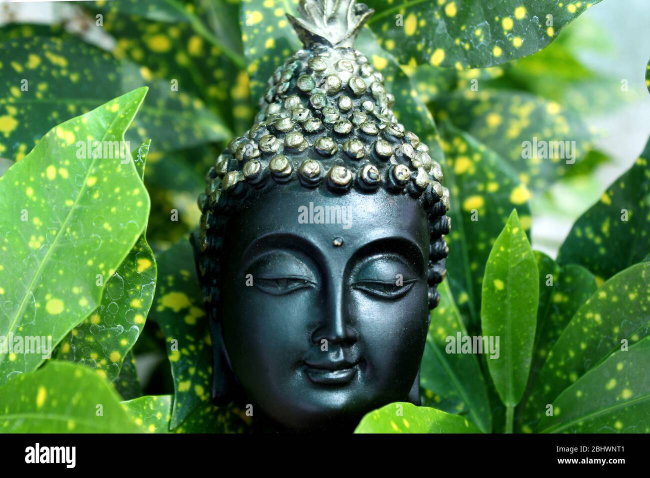 antique buddha god black face statue among green nature Stock Photo - Alamy