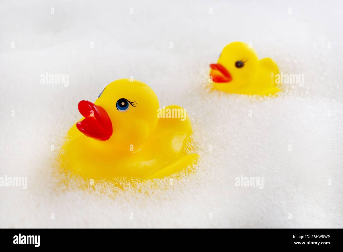 Rubber ducks in foam close-up Stock Photo - Alamy