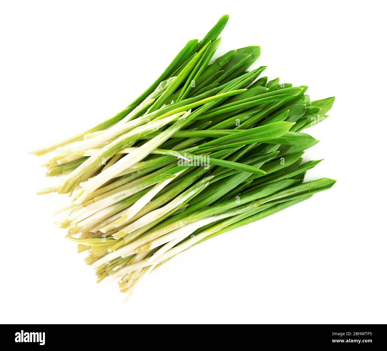 Wild leek isolated on white Stock Photo - Alamy