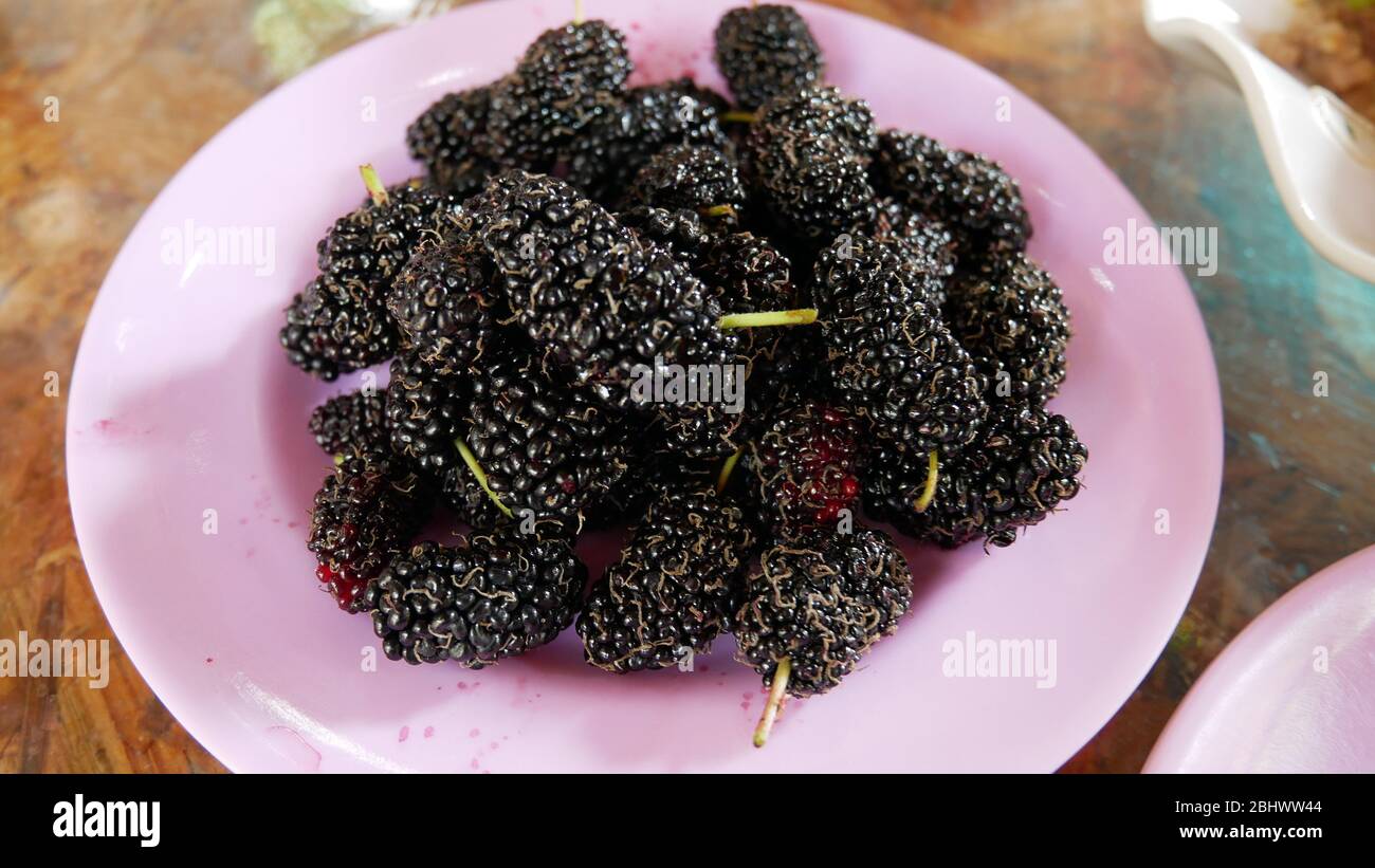 fresh mulberry on the pile of organic mulberries on the dish.Close up ...