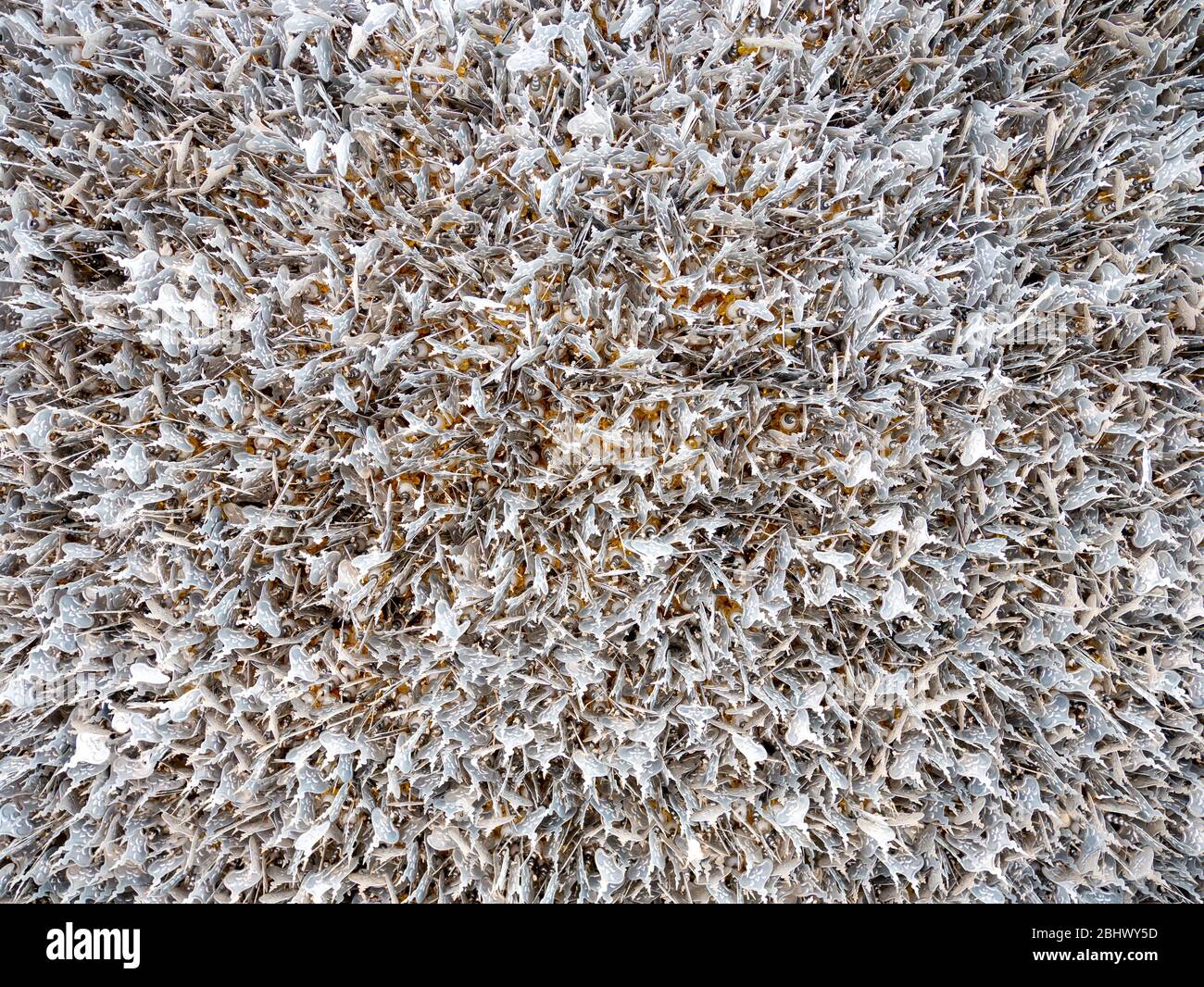 Abstract metal iron paper surface texture Stock Photo - Alamy