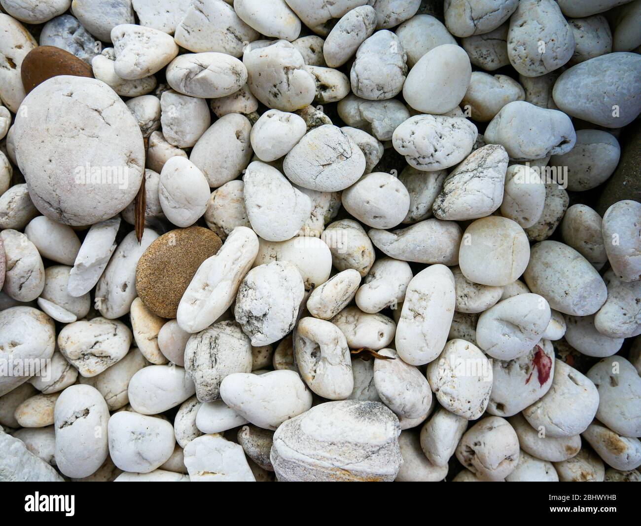 Rock white in garden.White pebbles for background.Texture Rock or stone ...