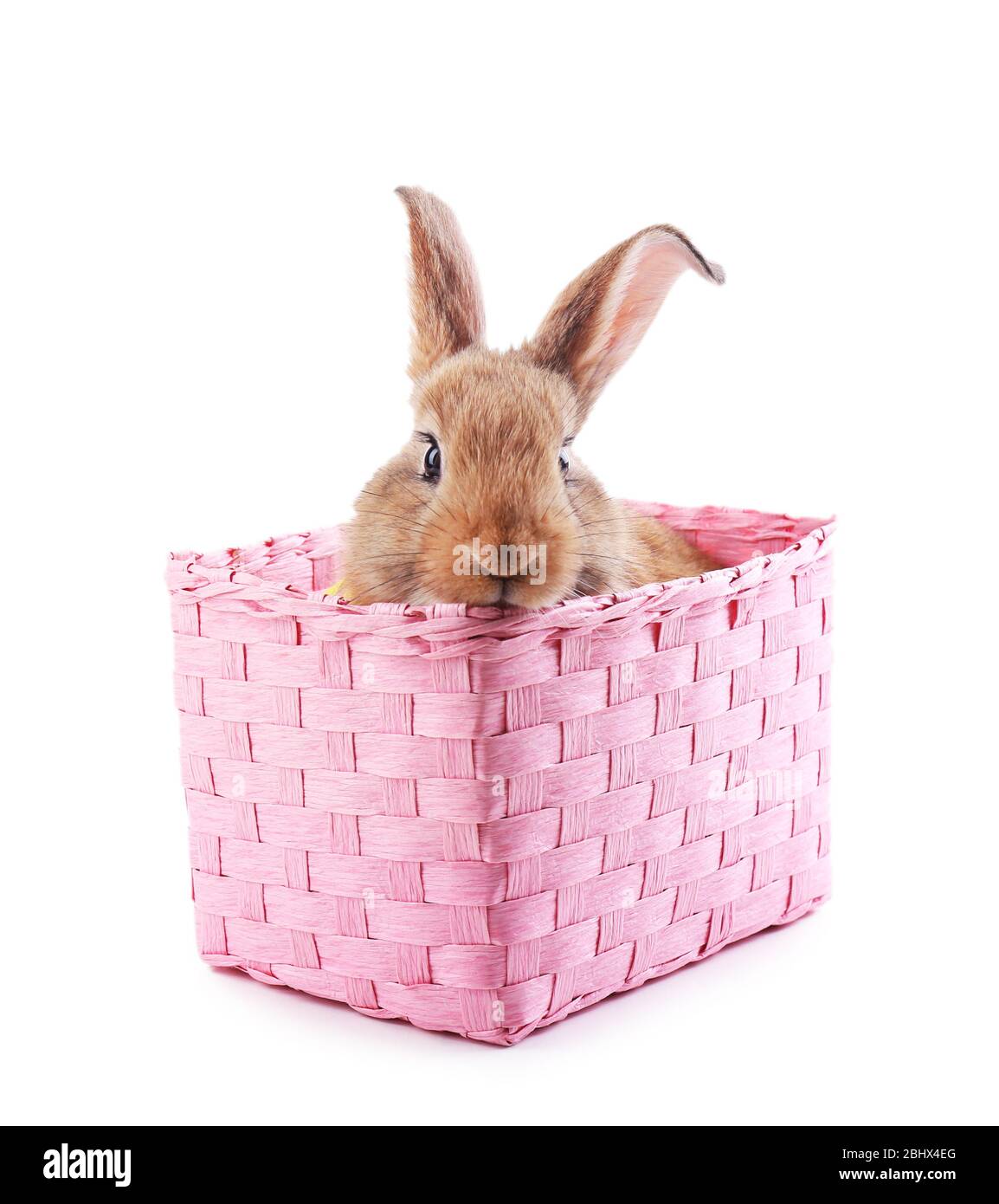 Little rabbit in wicker basket isolated on white Stock Photo - Alamy