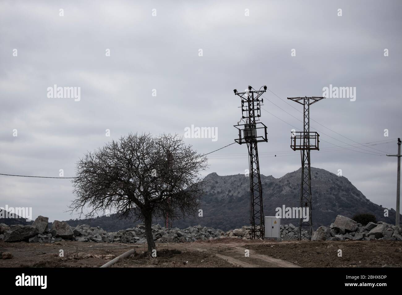 Power lines and transformers. There is a tree on the left and the ...