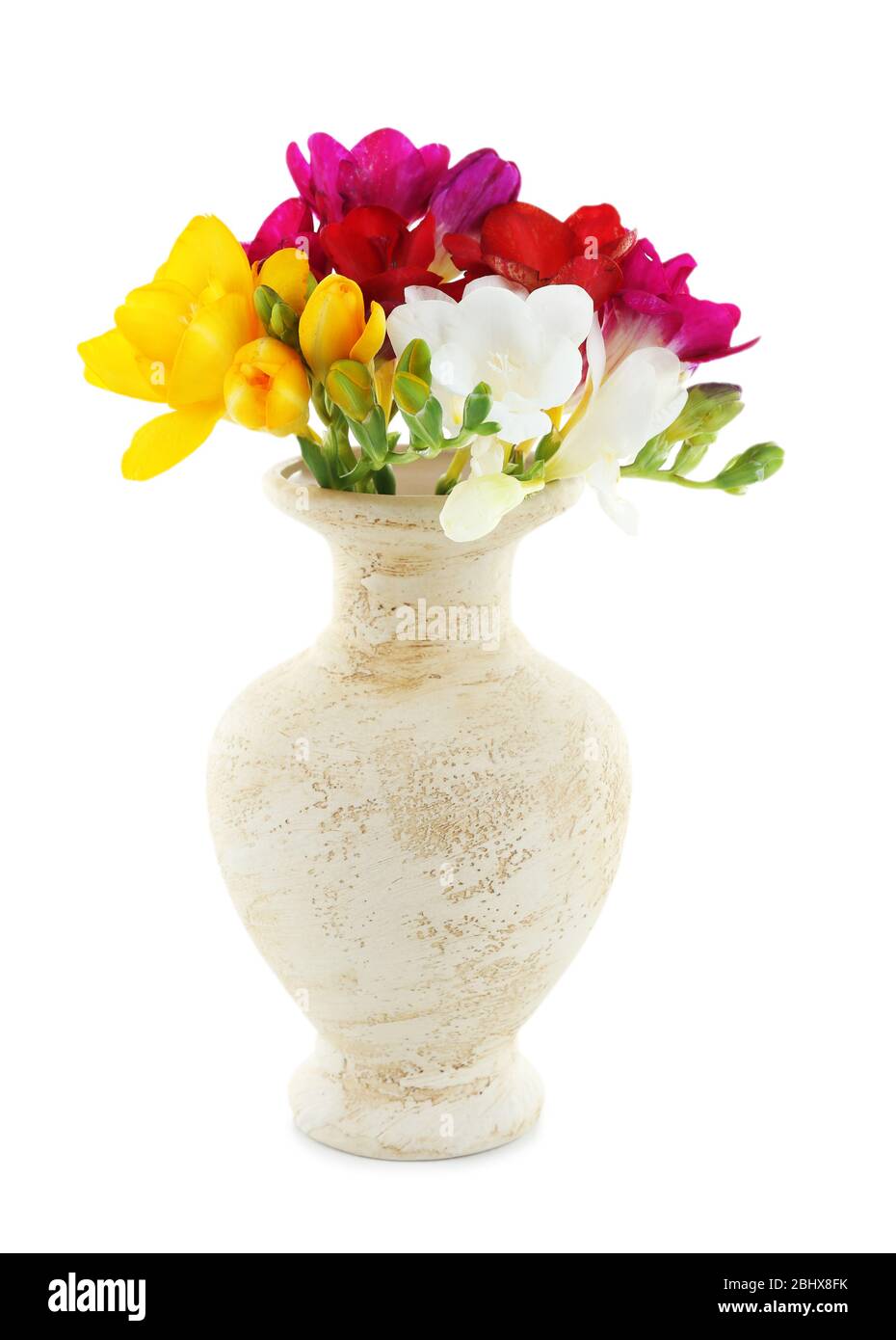 Beautiful spring flowers isolated on white Stock Photo - Alamy