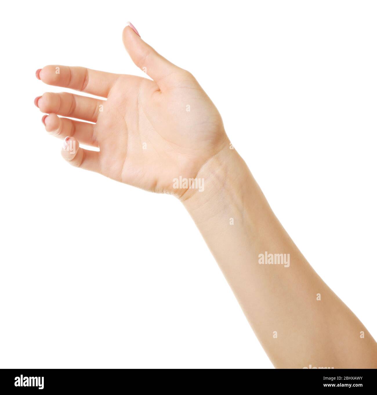 Female hand isolated on white Stock Photo - Alamy