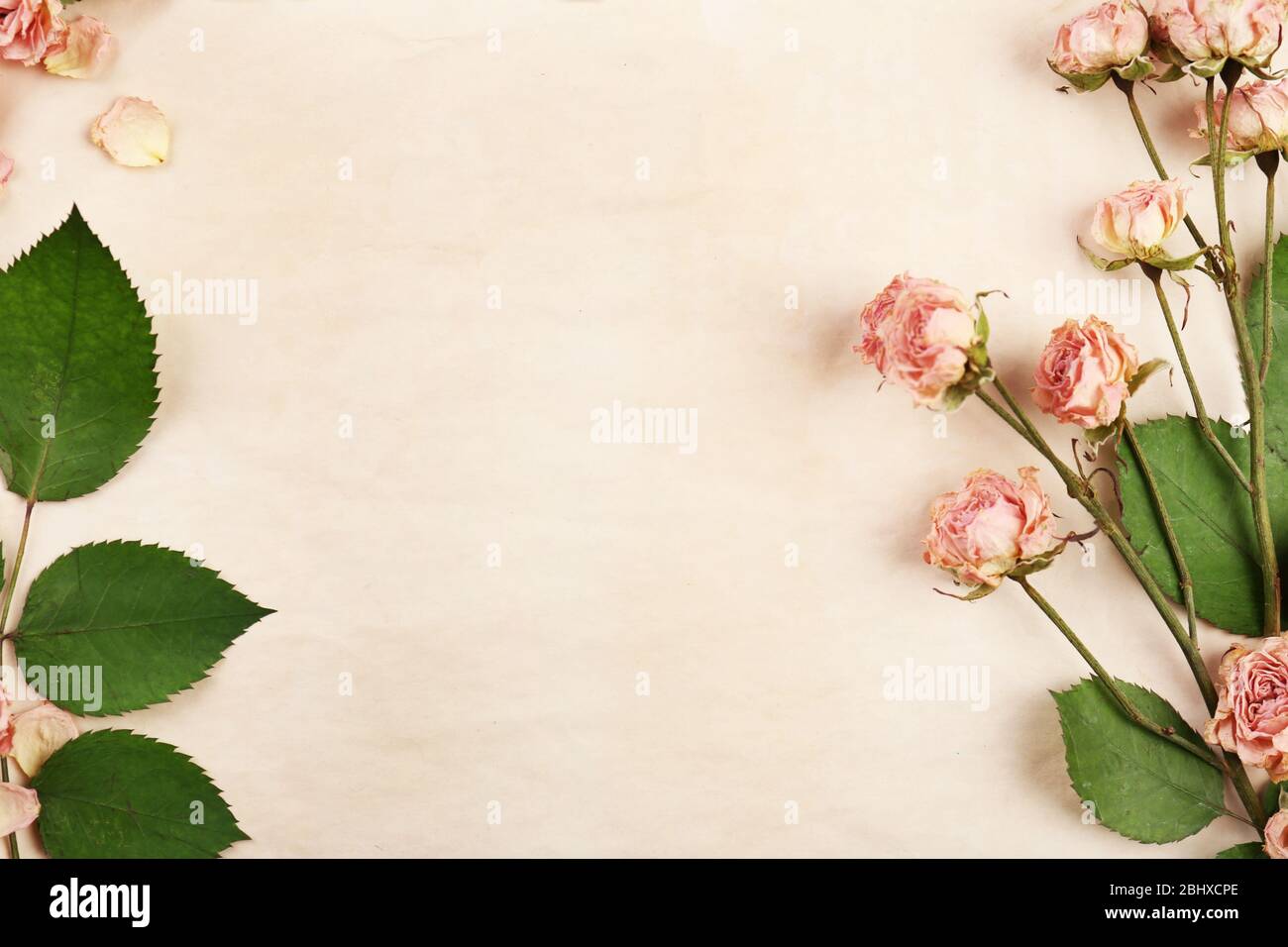 Dried roses on sheet of paper background Stock Photo - Alamy