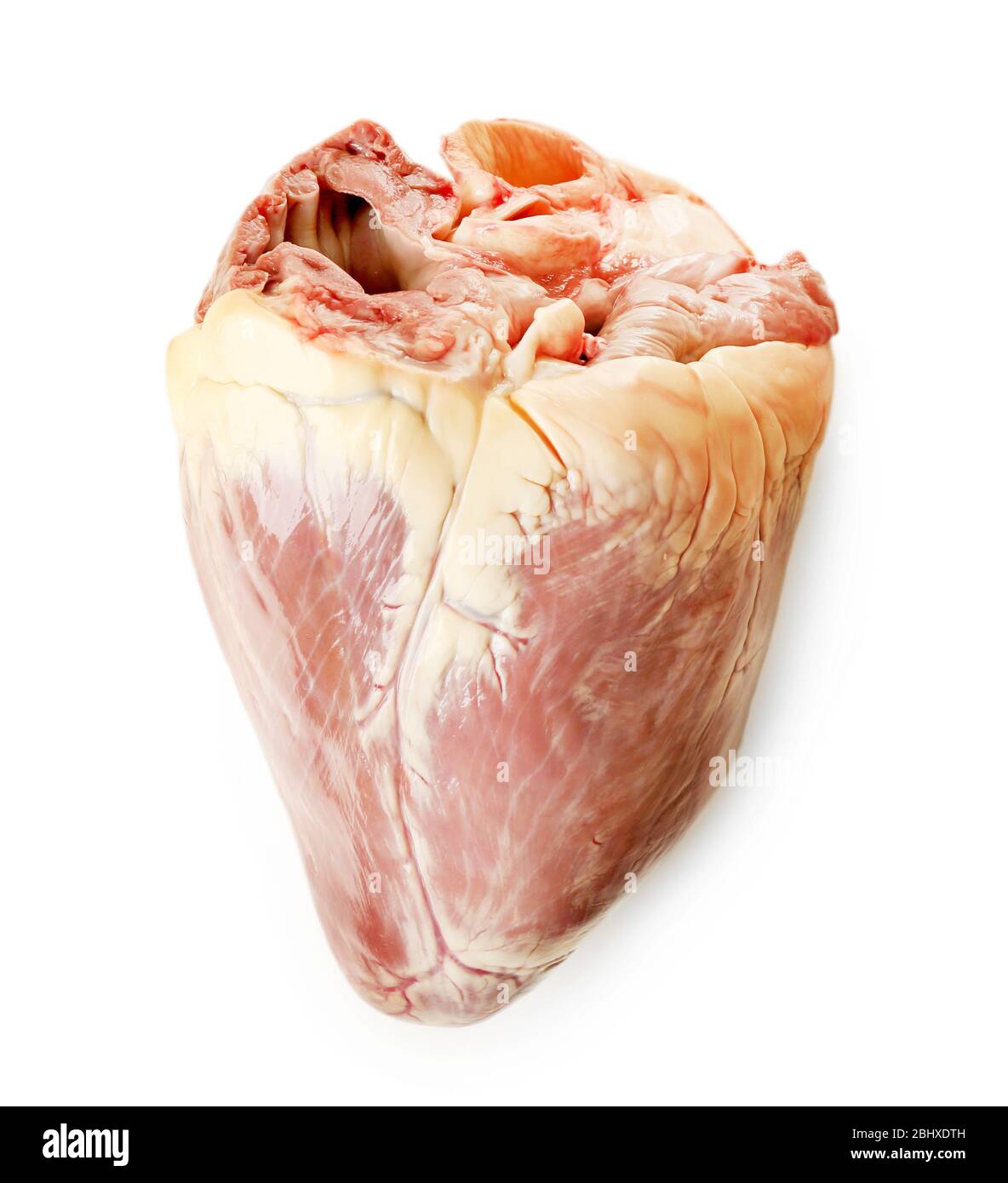 Raw animal heart isolated on white Stock Photo - Alamy