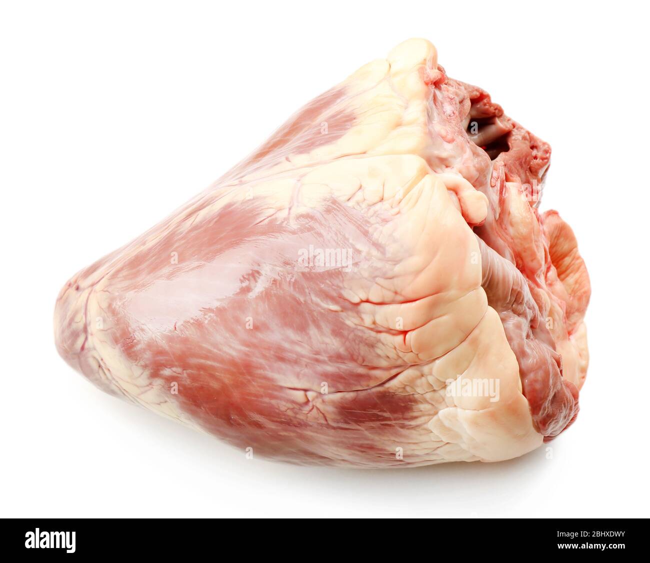 Raw animal Cut Out Stock Images & Pictures - Alamy