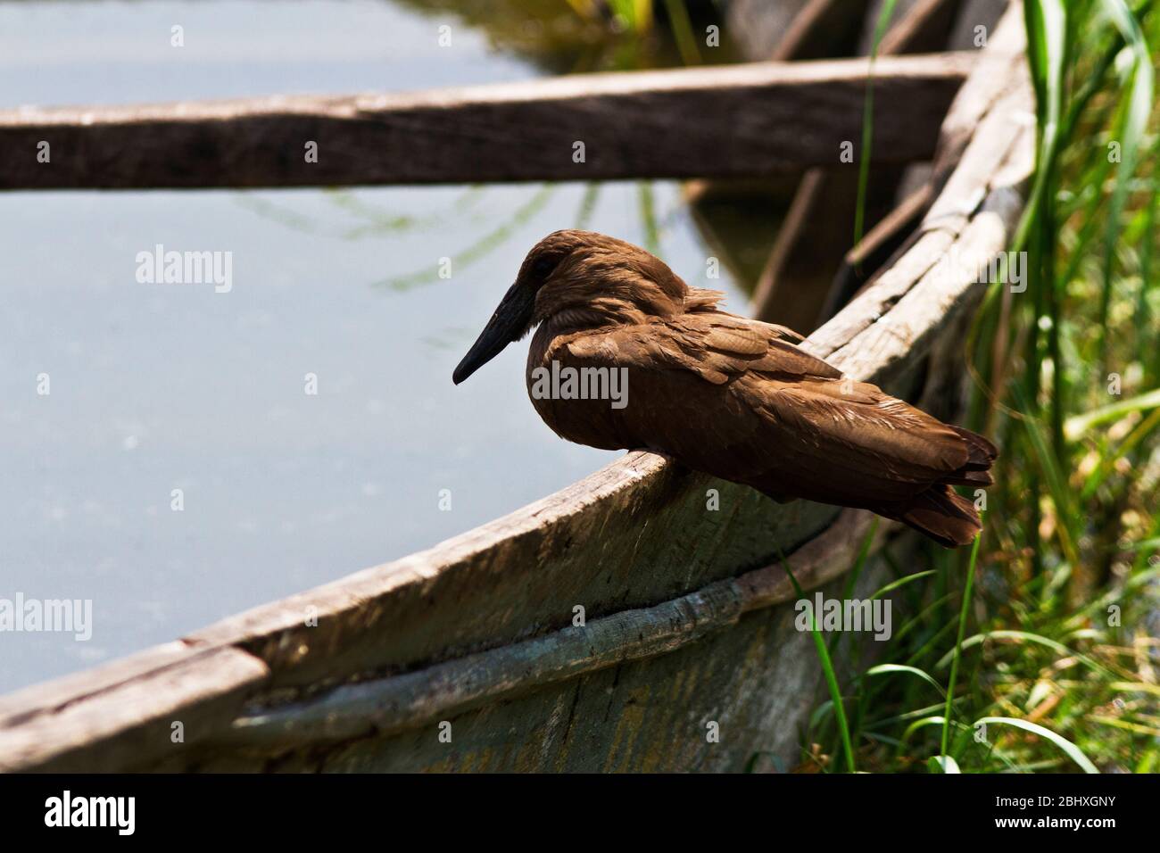 Gunnel hi-res stock photography and images - Alamy