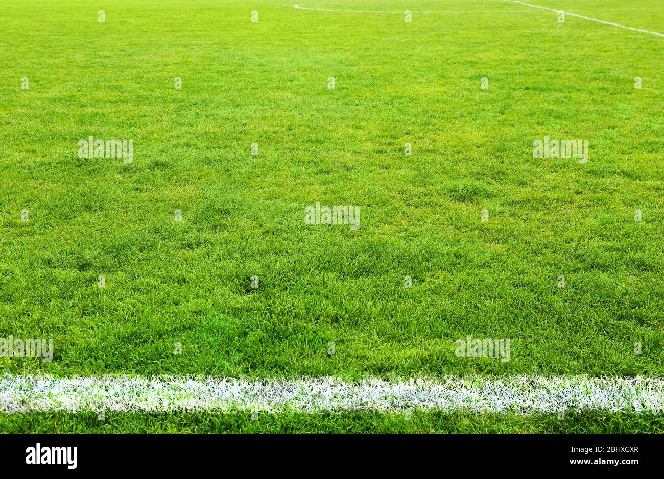 Football field stadium background Stock Photo - Alamy