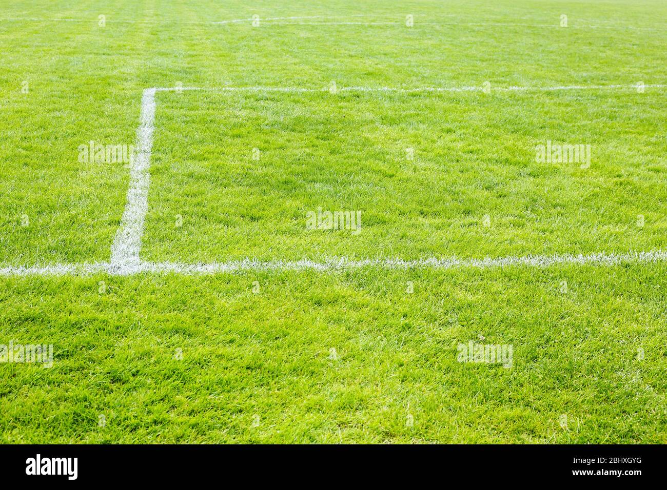 Football field stadium background Stock Photo - Alamy