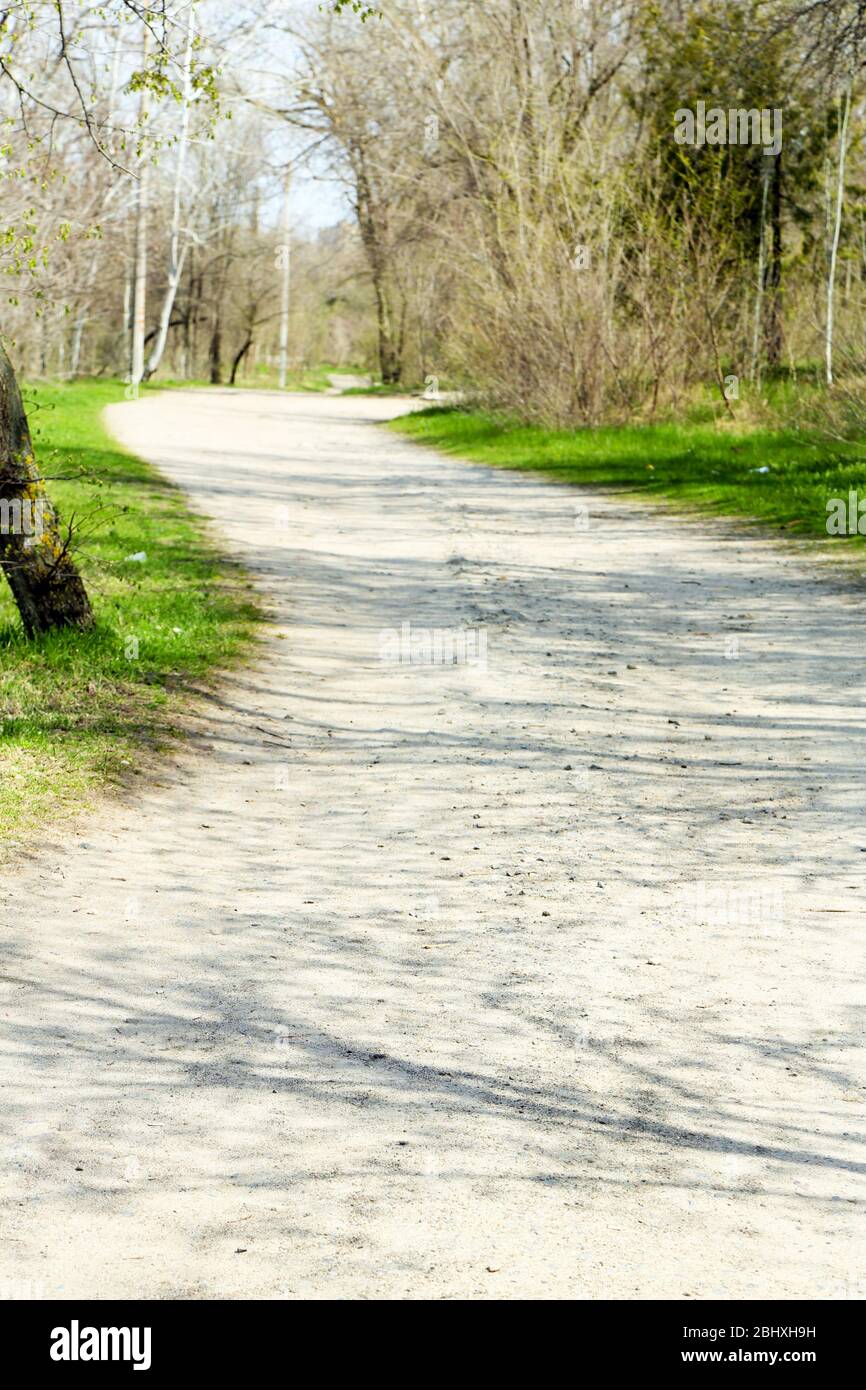 Path in spring park Stock Photo - Alamy