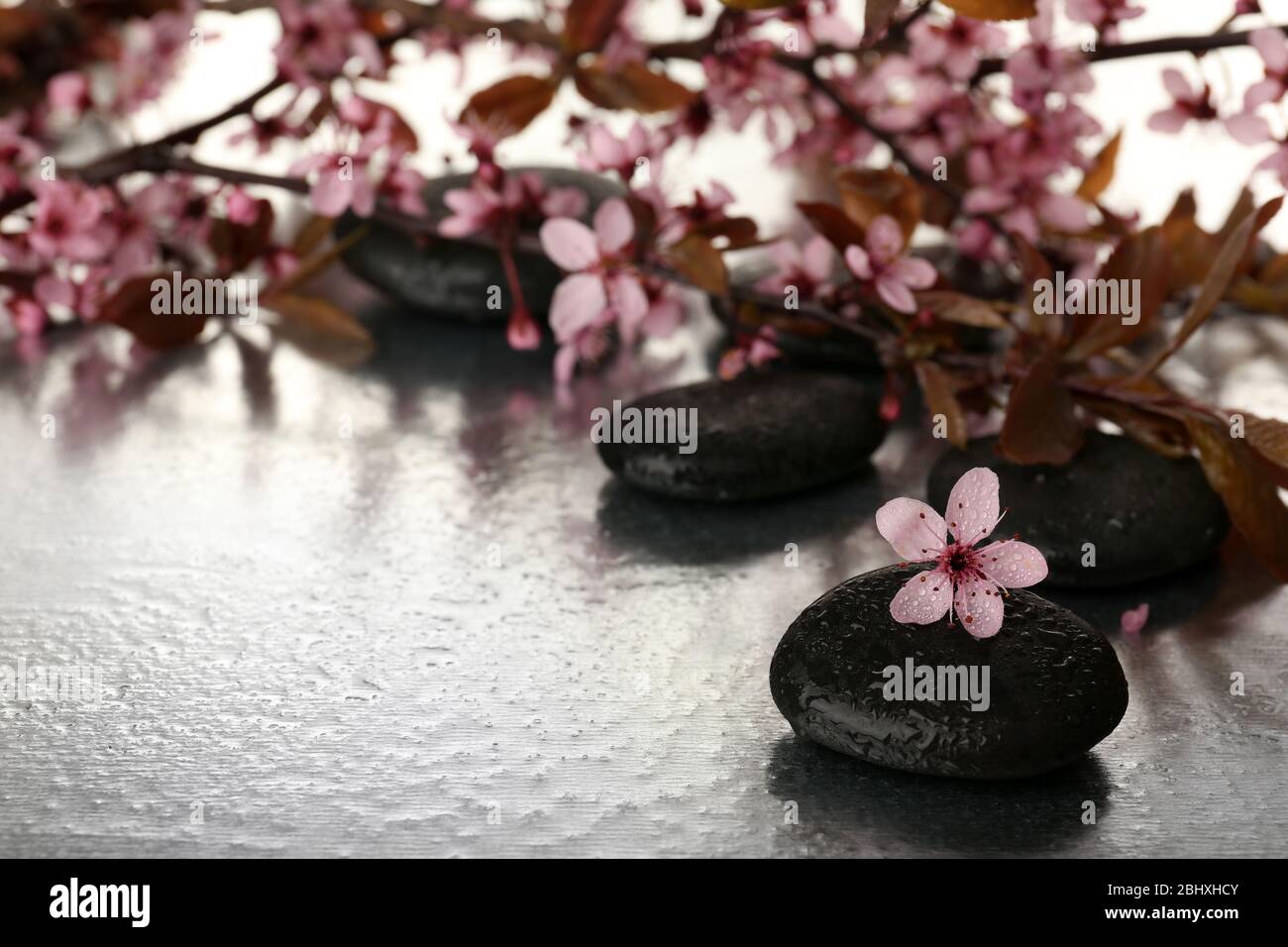 Spa stones with spring flowers on table close up Stock Photo - Alamy