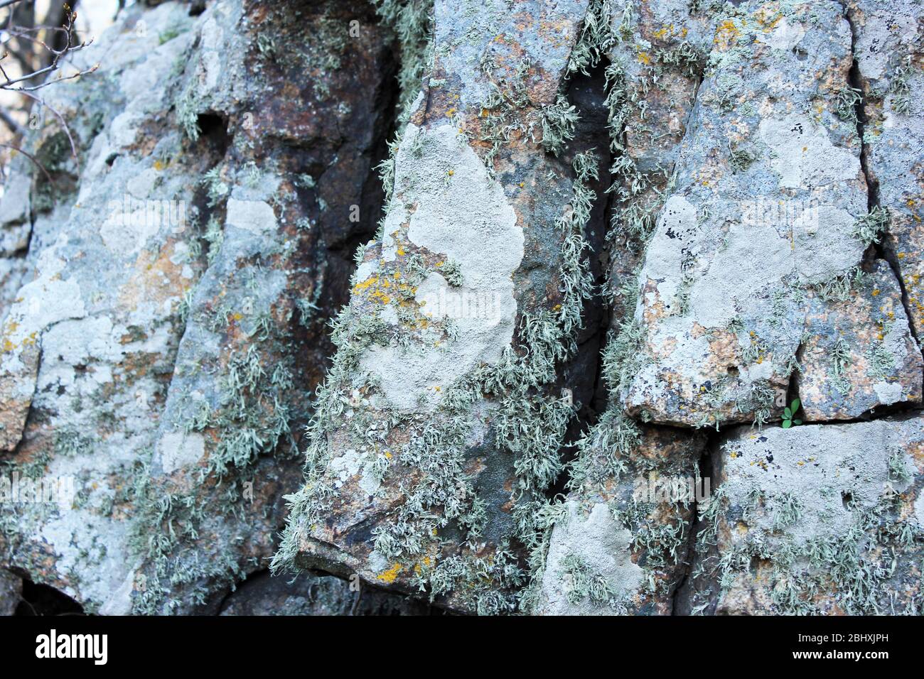 Stone wall with lichen background texture Stock Photo - Alamy