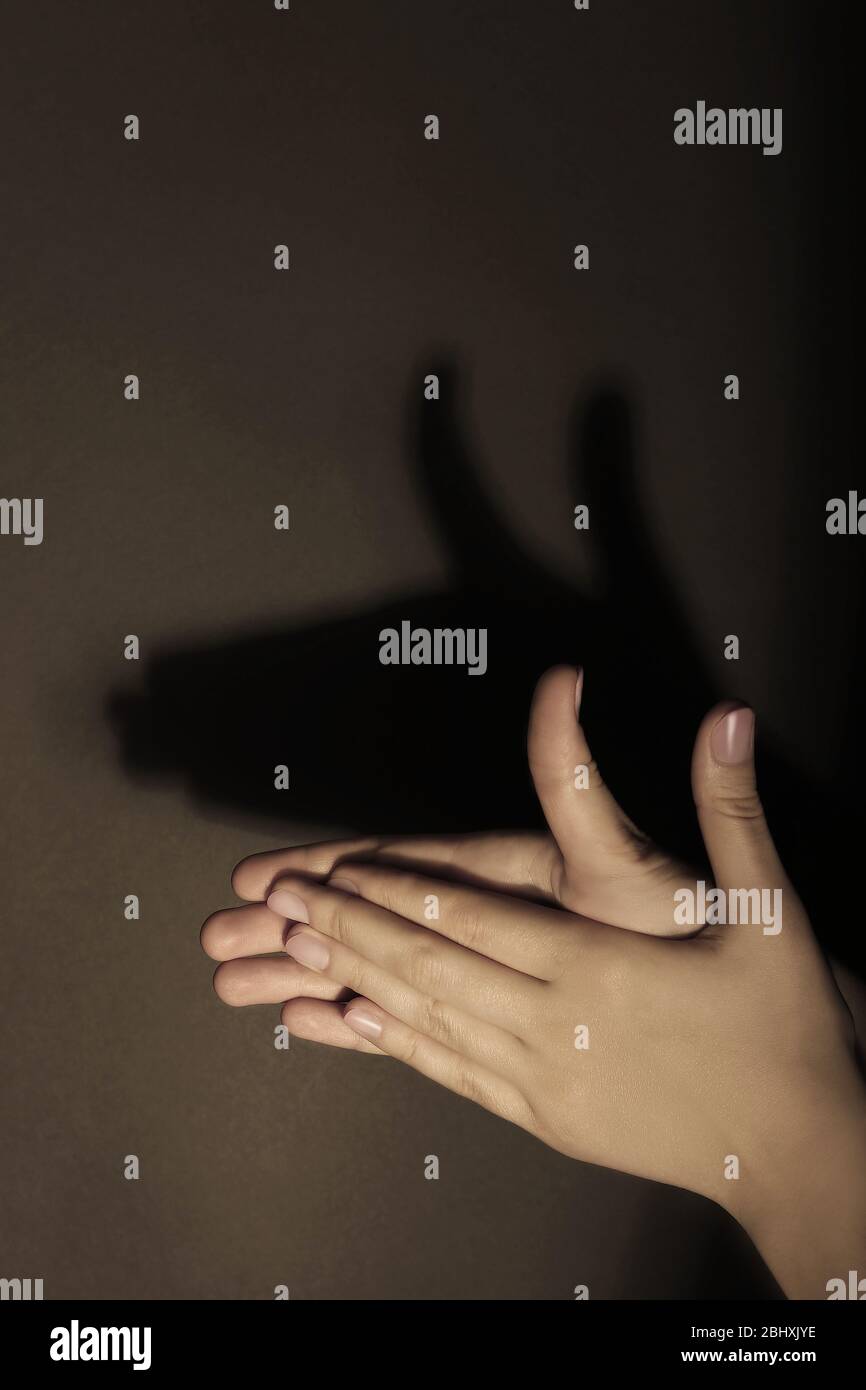 Shadow of female hands forming animal face on dark background Stock ...