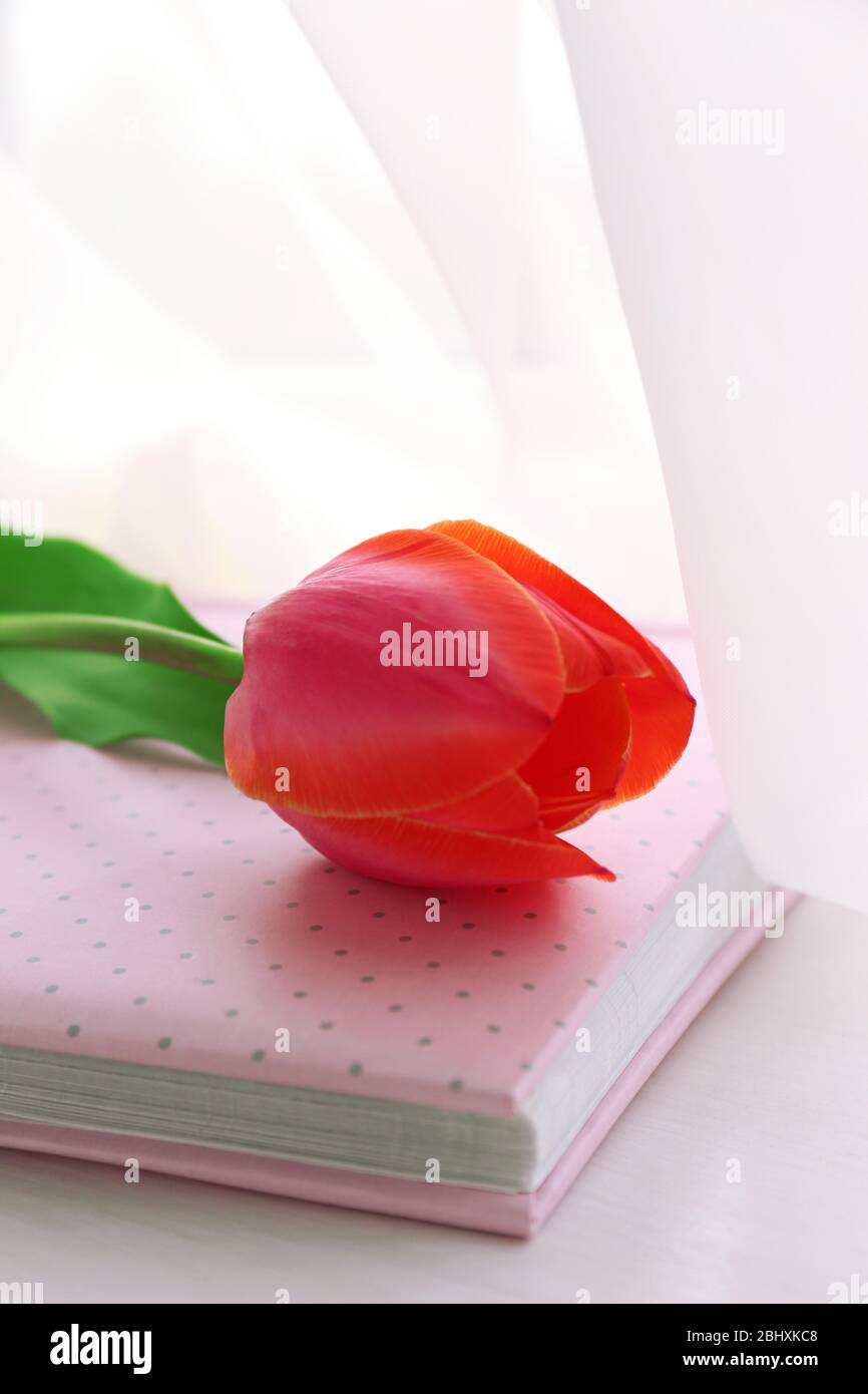 Beautiful red tulips and pink album on windowsill, closeup Stock Photo ...