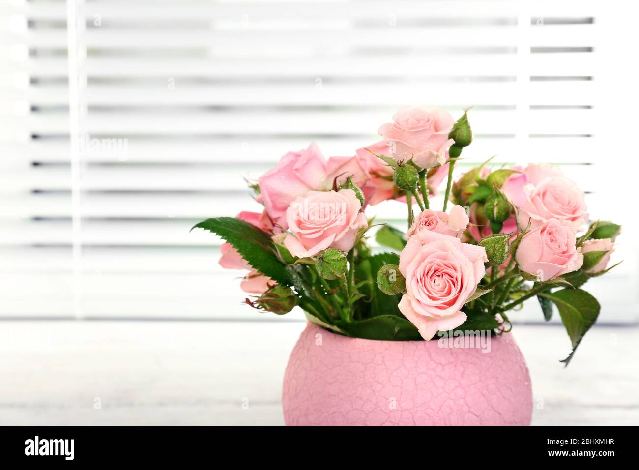 Roses in pot hi-res stock photography and images - Alamy