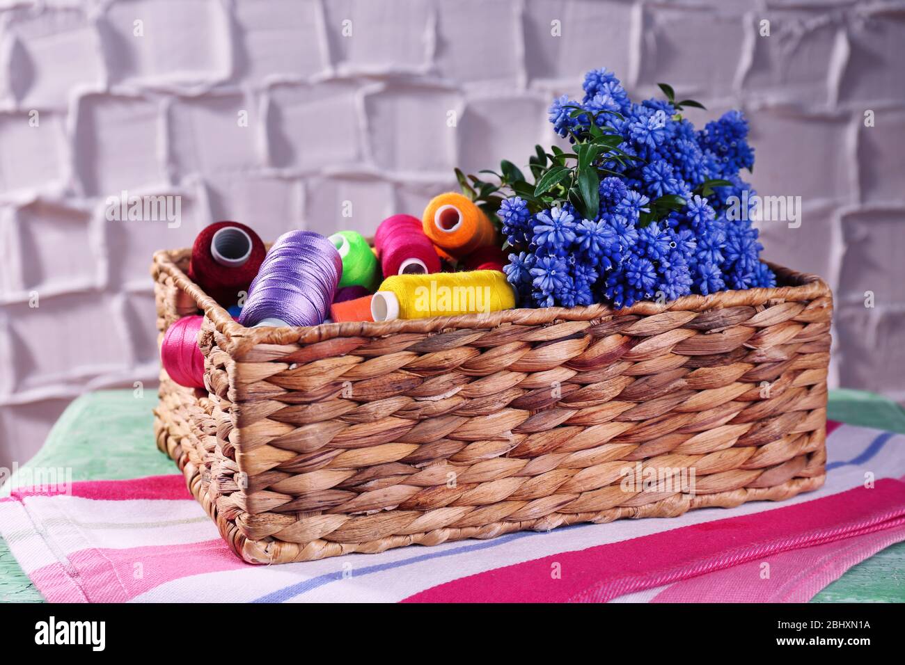 Beautiful muscari - hyacinth in wicker basket with spools of thread on ...