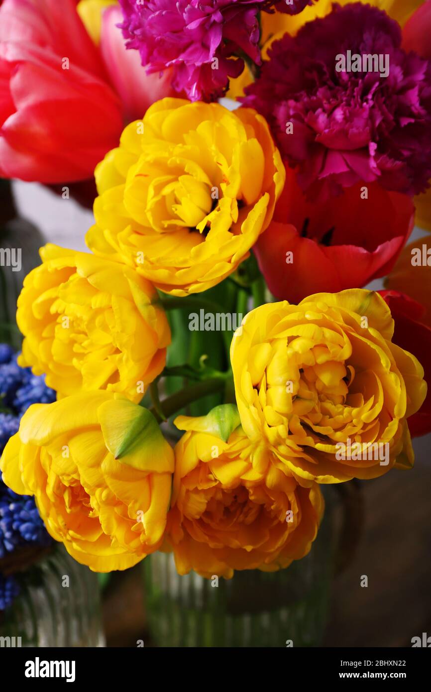 Beautiful spring flowers close up Stock Photo - Alamy