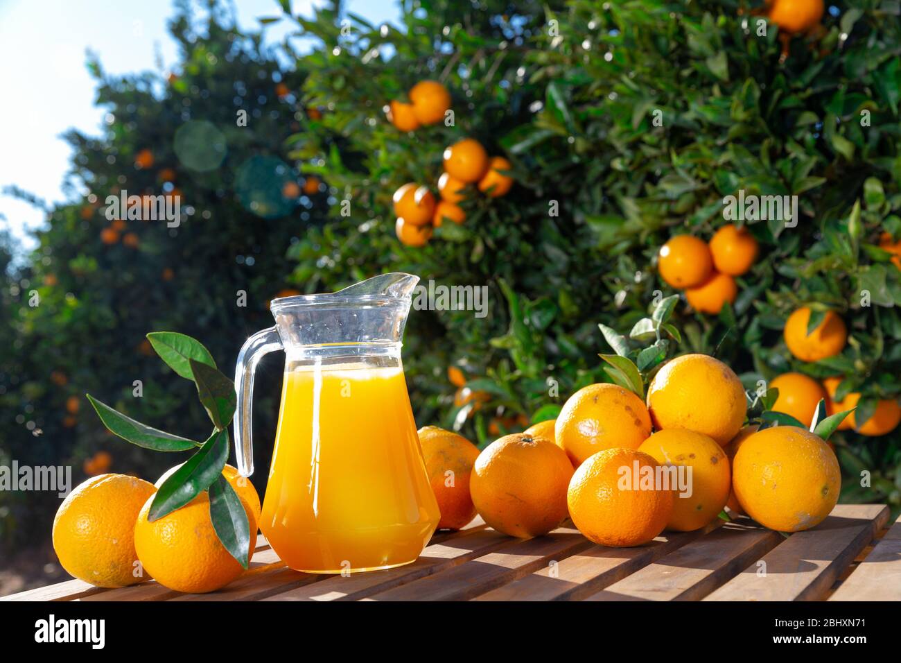 Glass jug and glasses with fresh orange juice on wooden table with ...