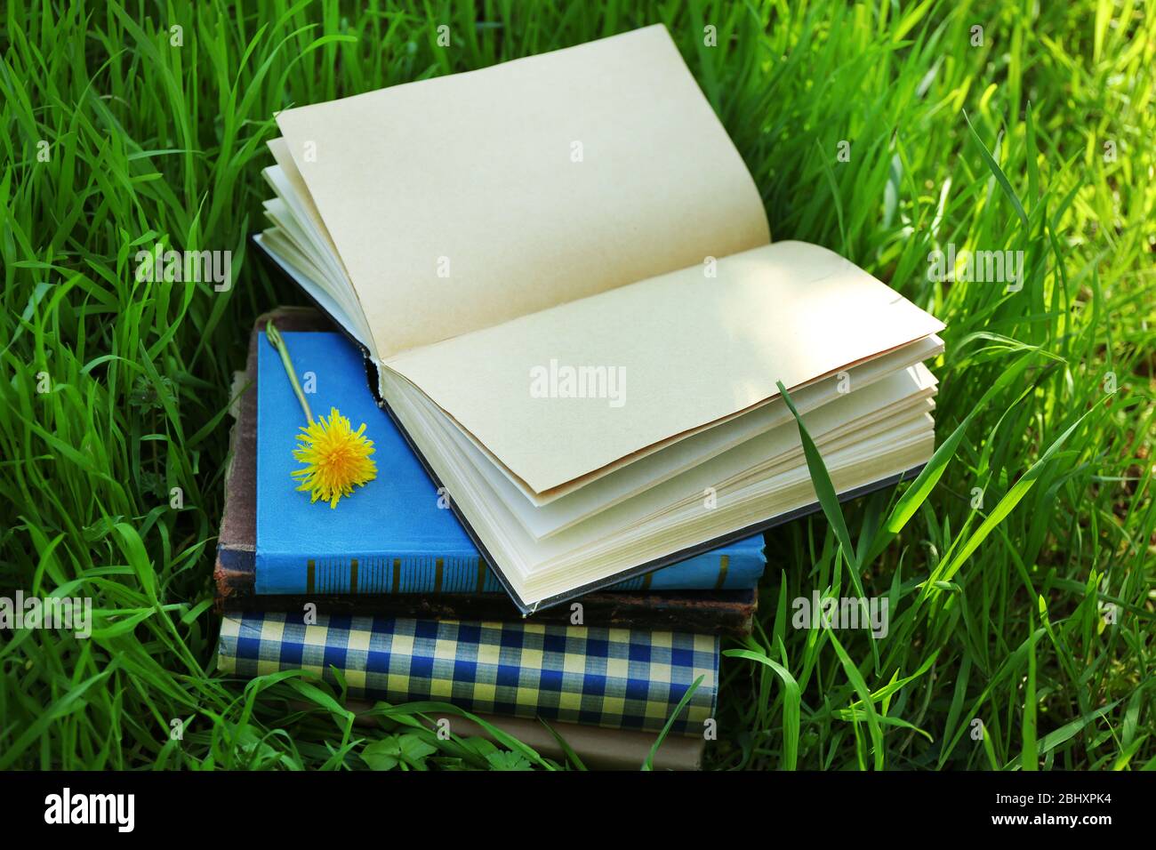 Stacked books in grass, outside Stock Photo - Alamy