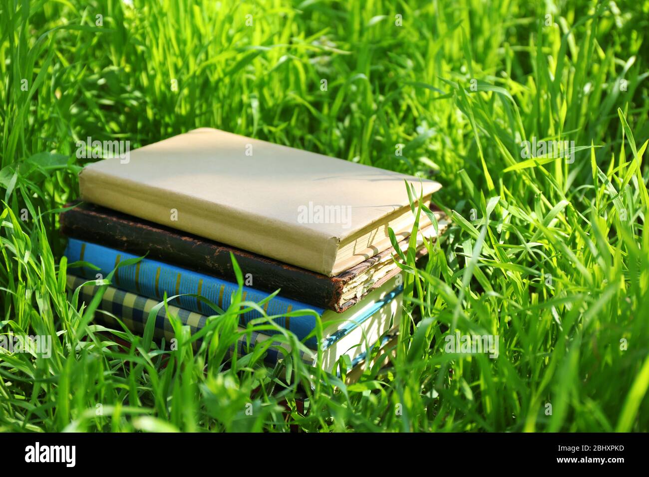 Research books outside hi-res stock photography and images - Alamy