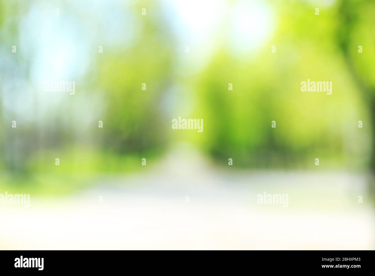 Green natural background of out of focus forest Stock Photo - Alamy