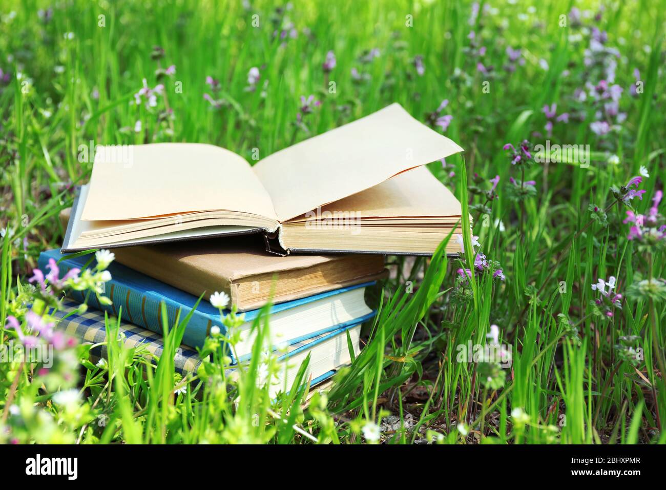 Stacked books in grass, outside Stock Photo - Alamy