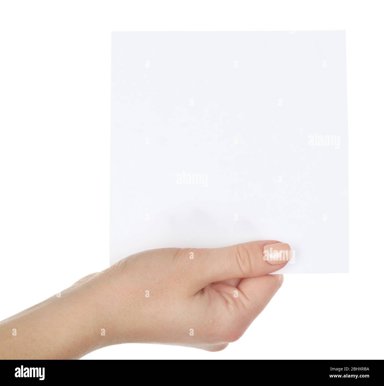Hand holding blank card isolated on white Stock Photo - Alamy