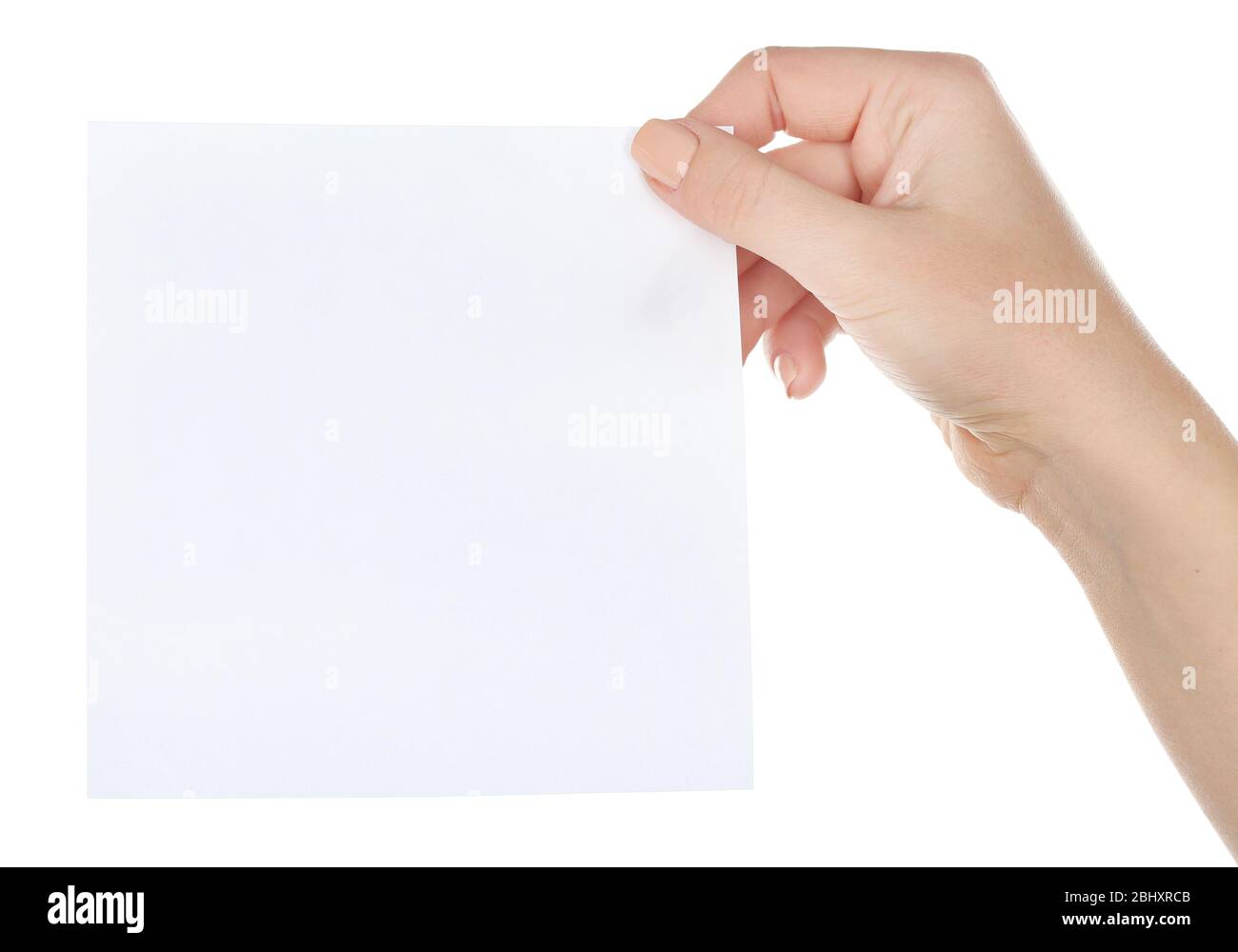 Hand holding blank card isolated on white Stock Photo - Alamy