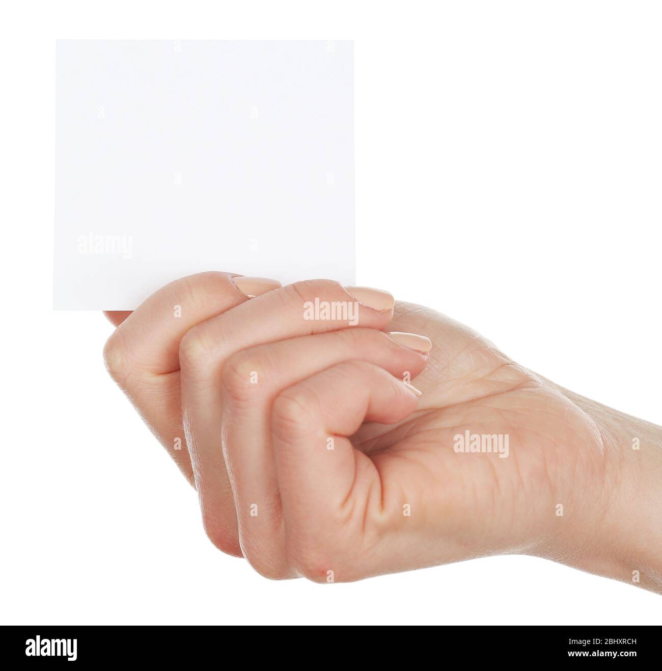 Hand holding blank card isolated on white Stock Photo - Alamy