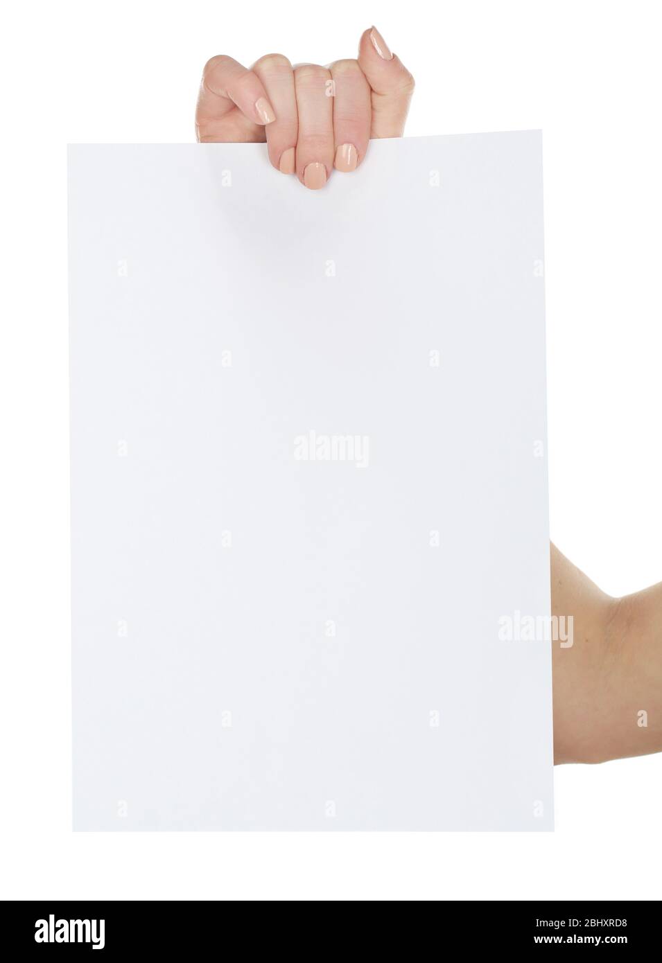 Hand holding blank card isolated on white Stock Photo - Alamy